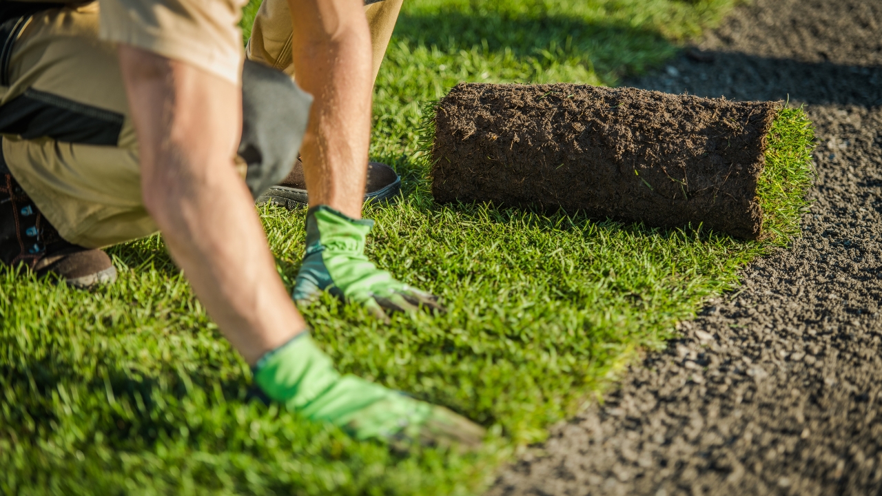 Returfing Lawn Services In Kent & The South East - Pristine Homes